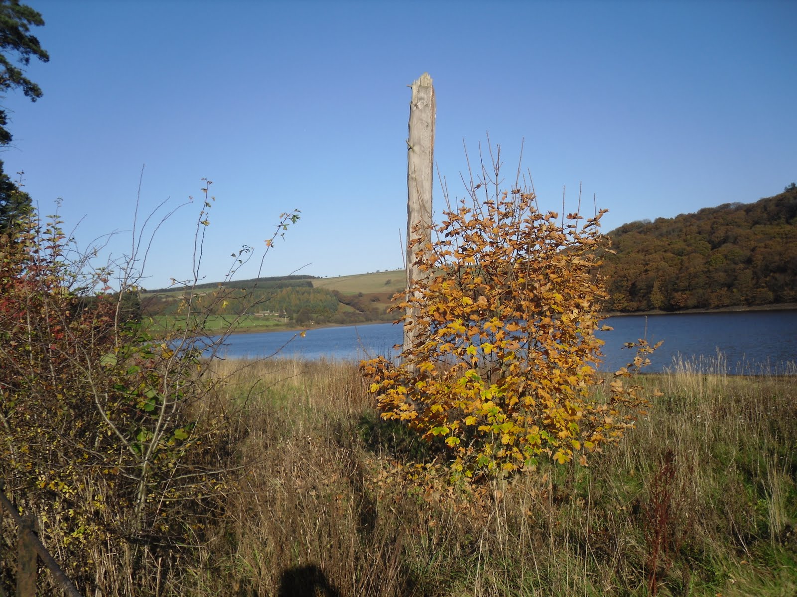 Rambling Nana: Wolsingham, Tunstall Reservoir Circular