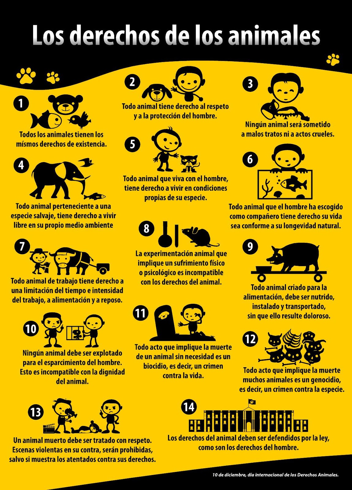 Conoce tus derechos de los animales y protege su bienestar