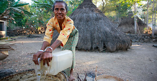 A Healthy Mind In A Healthy Body: Planning diet for Pacific Islanders