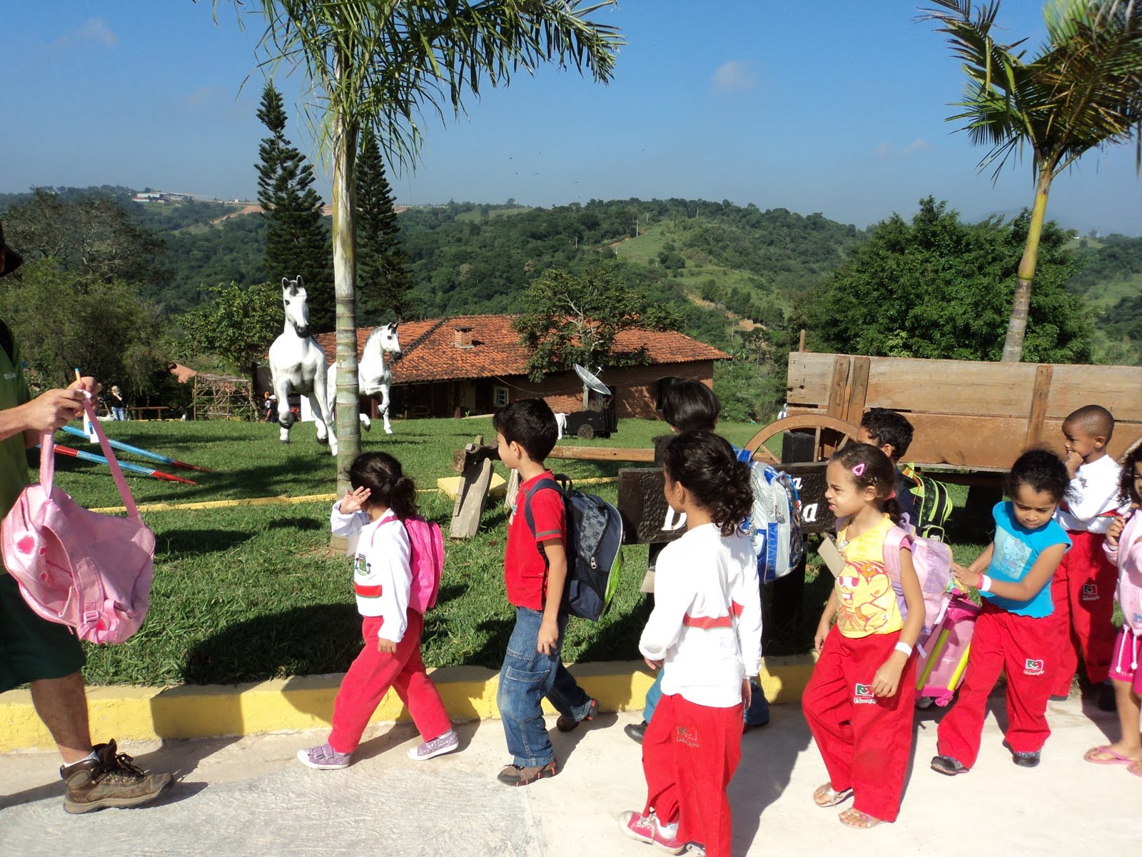 Selenilda - Aventura e Magia um passeio pelo saber: PASSEIO A ECOLANDIA