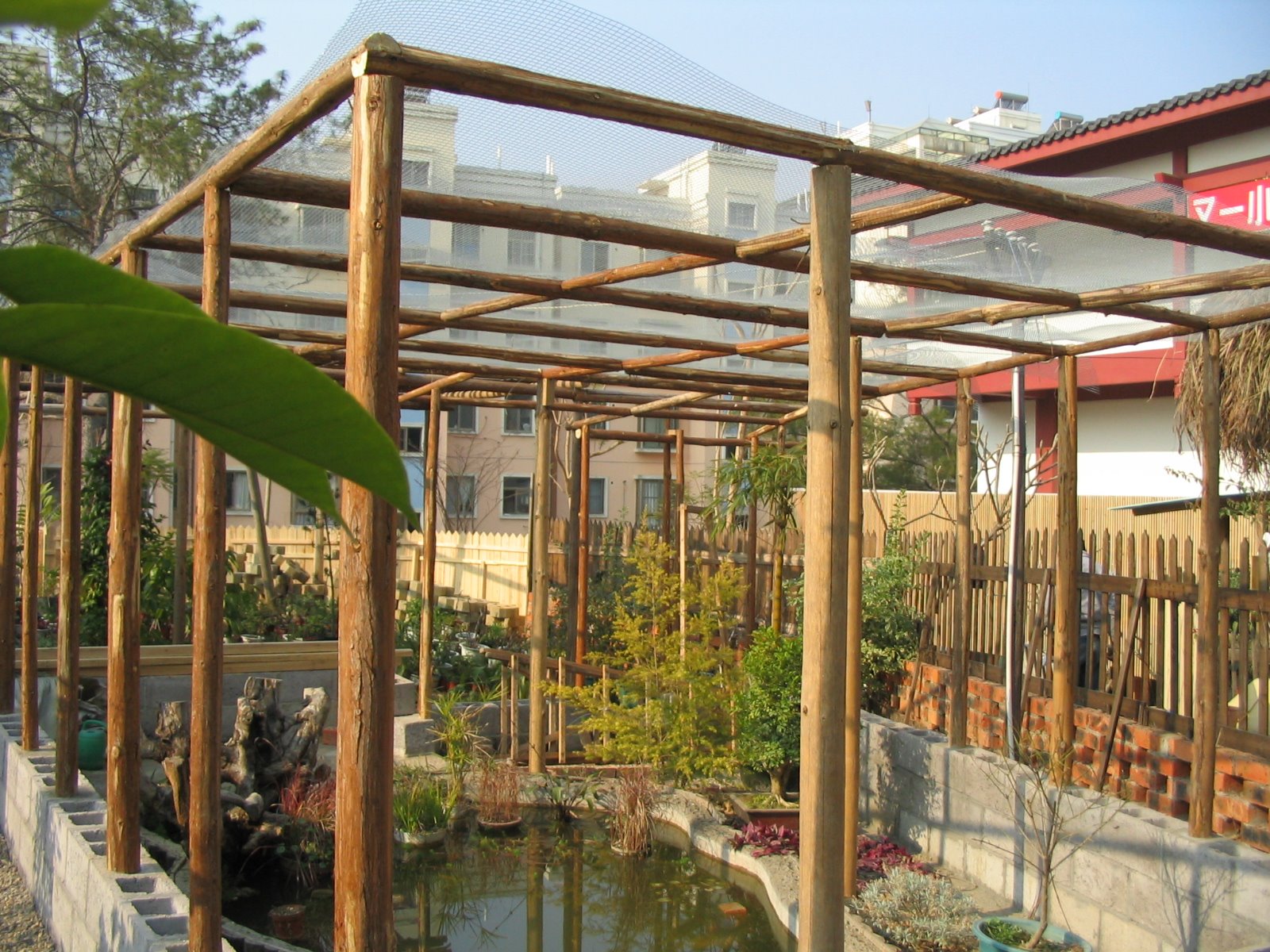 The Chinese Garden: Mixed Small Bird Aviary in China Guangxi Nanning (2 ...