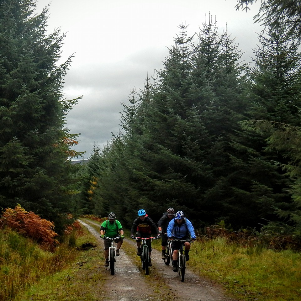 coastrider: Peebles ride; Kailzie Hill Drove road and Glentress blue...