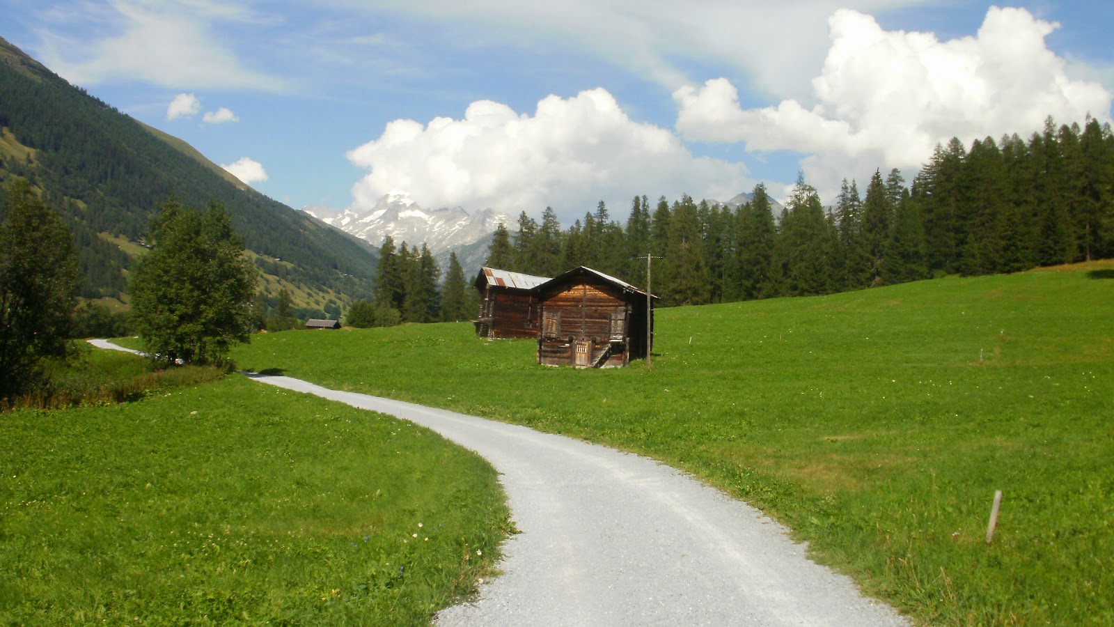 EXCURSII CU BICICLETA: Elvetia