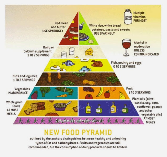 Healthy Eating: Food Pyramid and Its Evolution