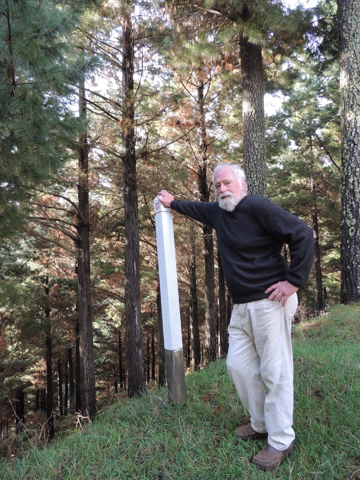 THE ROAD TAKEN : The "45-Minute" Walk