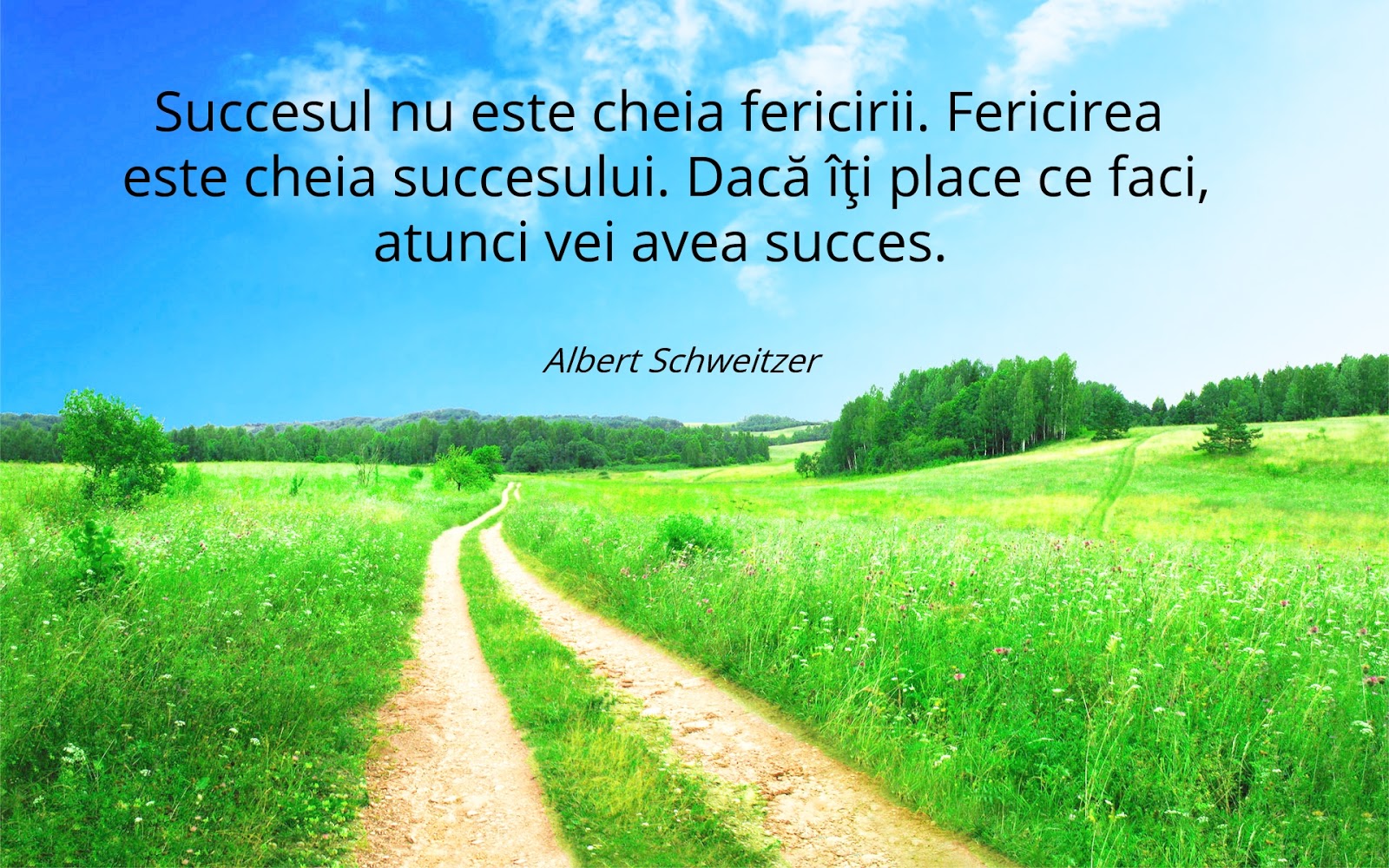 Felicitari, Mesaje si Urari: Citate despre viata