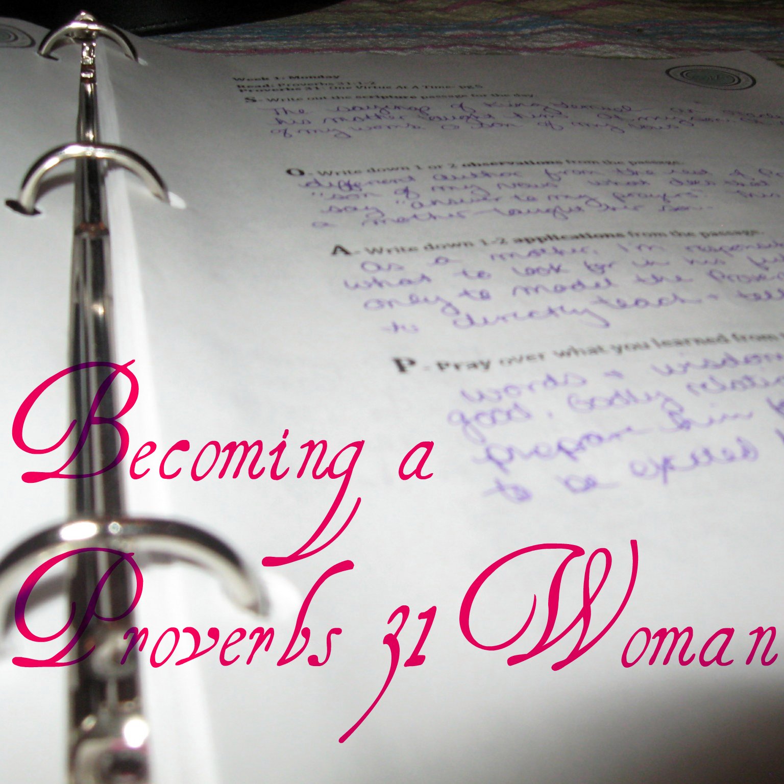 Trial and Error Homemaking: Proverbs 31 Study: Week 3