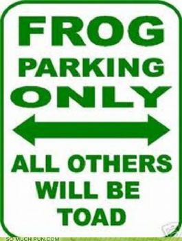 Woodsterman: Lexophile