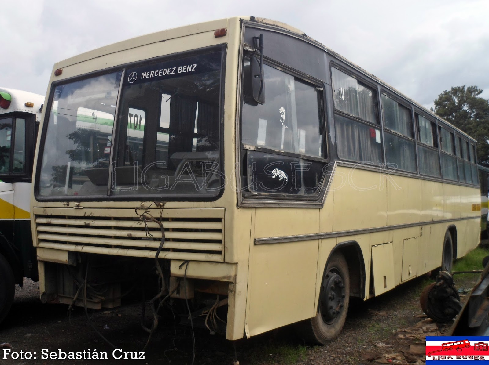 Liga Buses CR: Liga Buses CR: ¡1º aniversario!