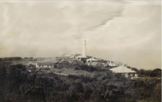 Mole's Genealogy Blog: Souvenir Saturday: Unusual views of the Bluff ...