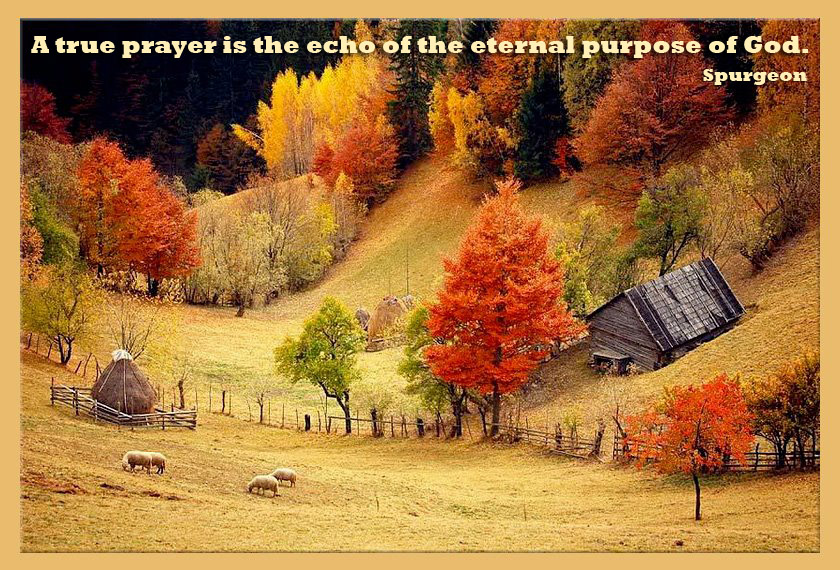 Calvinistic Cartoons: Prayer and Purpose