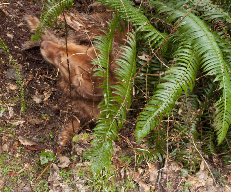 Karen Moe Vancouver Portrait Photography: The Philosophy and Science of ...