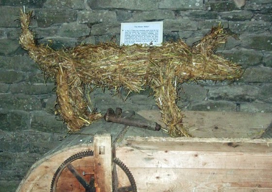 A bad witch's blog: Lammas Folklore: The Orkney Straw Dog