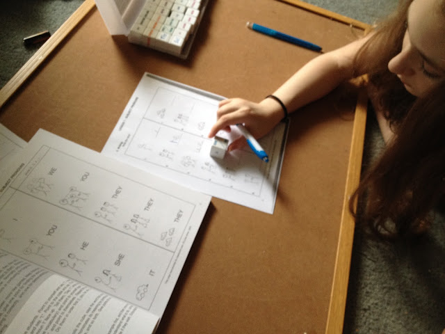 Puddle Jumping: Homeschool Review Crew - English On A Roll Multi ...