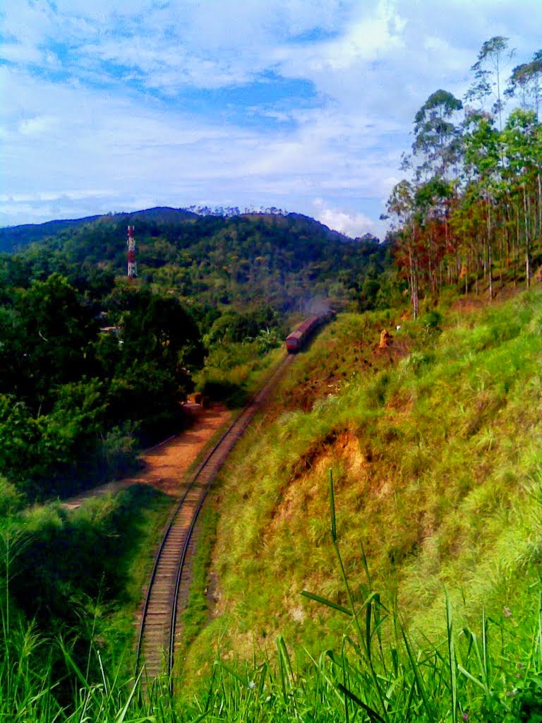 Safari Sri Lanka: Demodara Loop Sri Lanka - Amazing railway ...