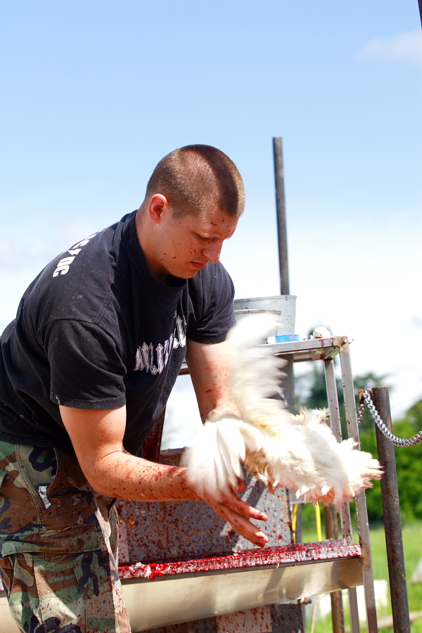 Unexpected Environments: Local chicks: Farm-to-table for health meat