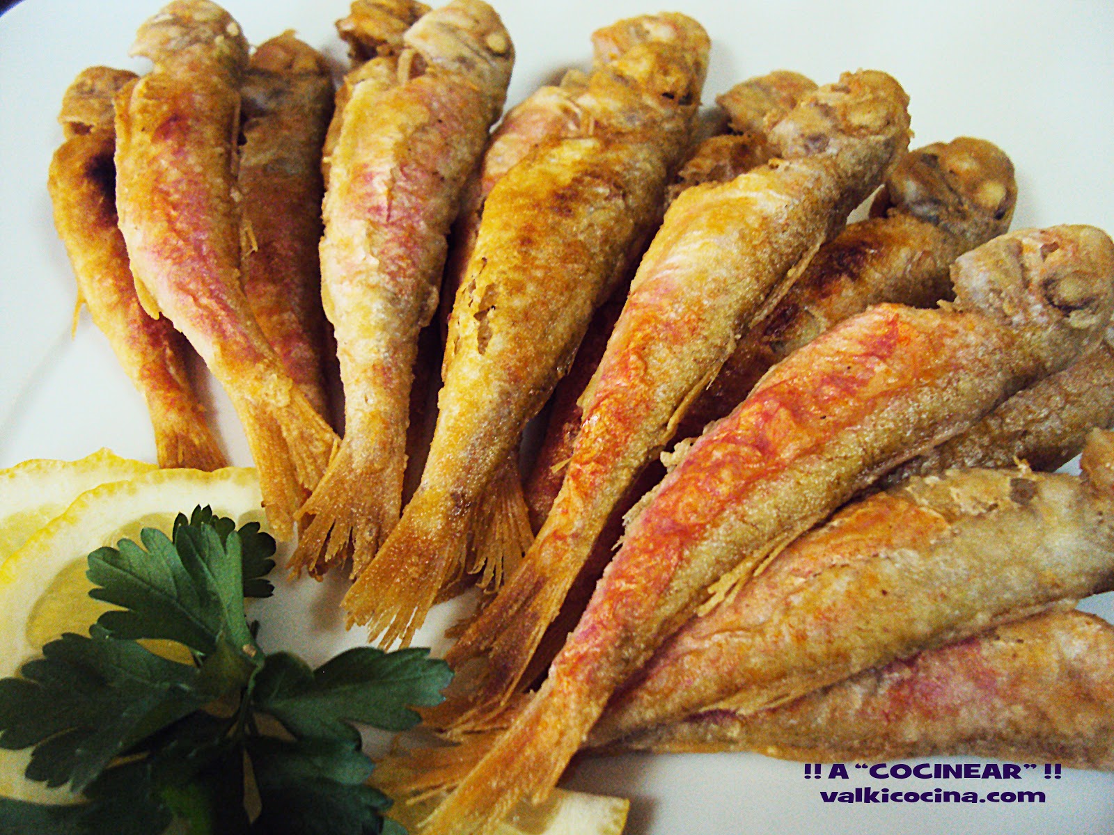 "PESCAITO" FRITO | ¡¡A COCINEAR!! Recetas valkicocina.com
