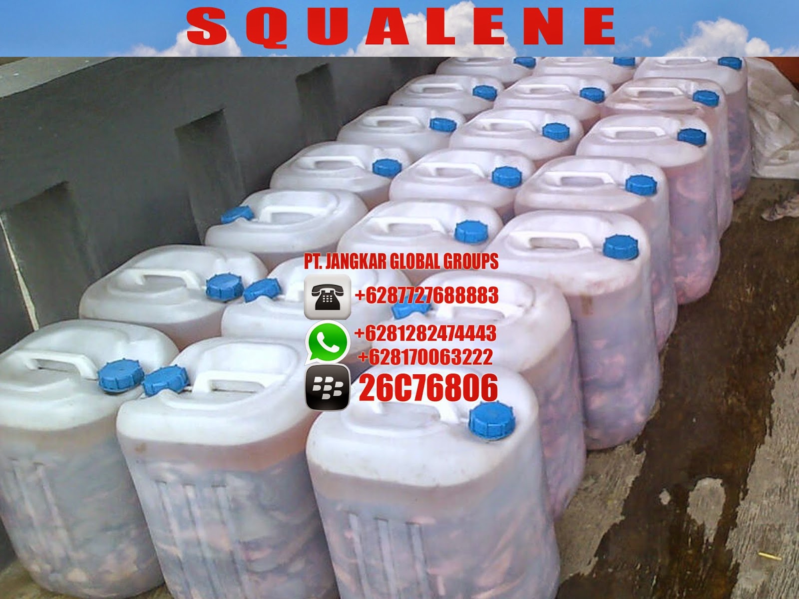 Jangkar Groups: PABRIK MINYAK HATI IKAN HIU BOTOL SQUALENE