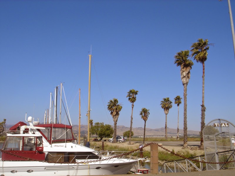 Cakes And Ale: Edgerly Island