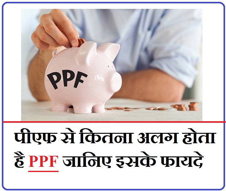 Savings Know the Difference Between PF or PPF | gkeducation