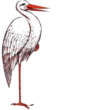 Poezii de toamna I - Poezii pentru copii - 1 :: Fise de lucru ...