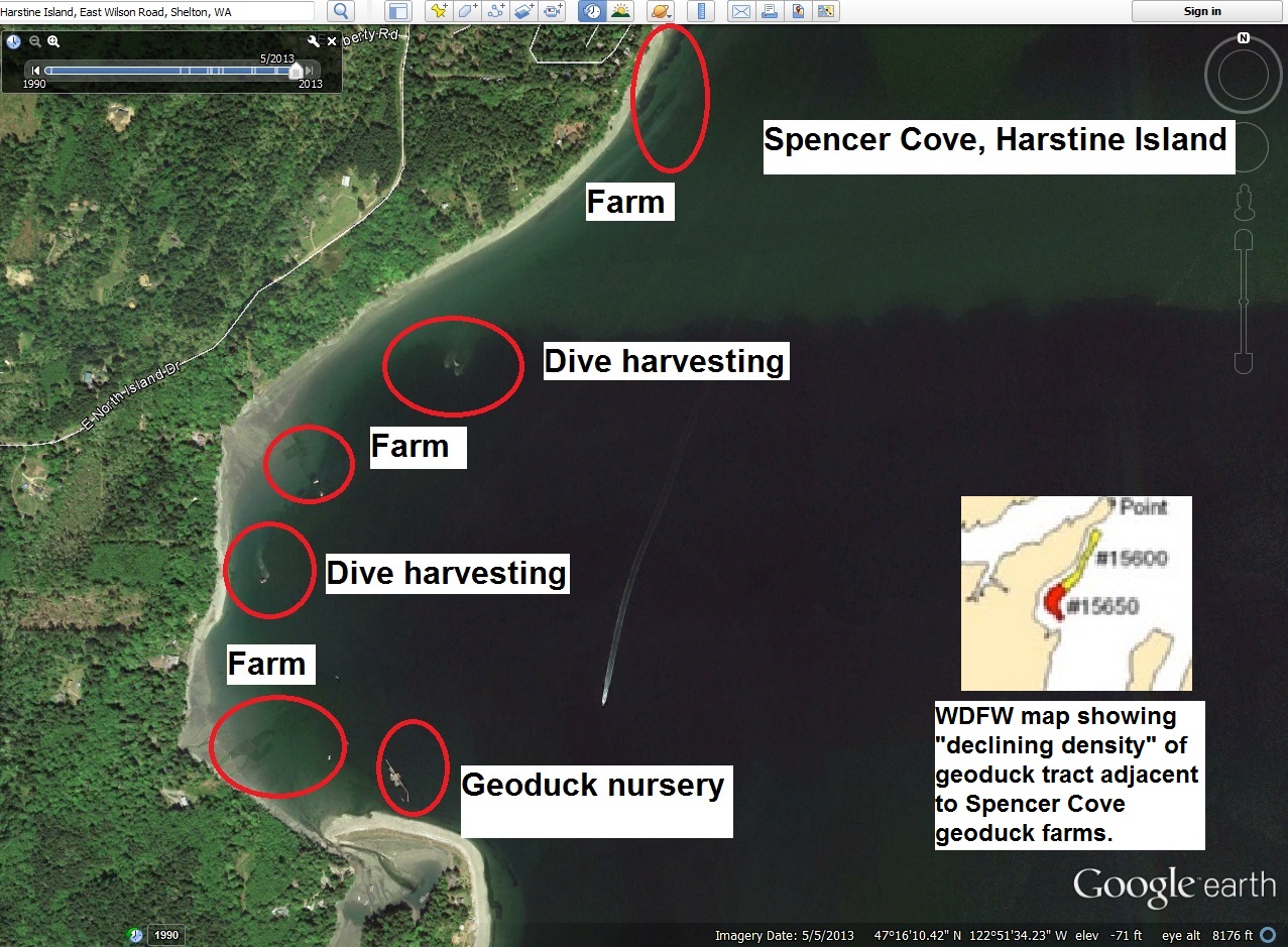 Protect Our Shoreline News: WDFW Maps Show Declining Densities and ...