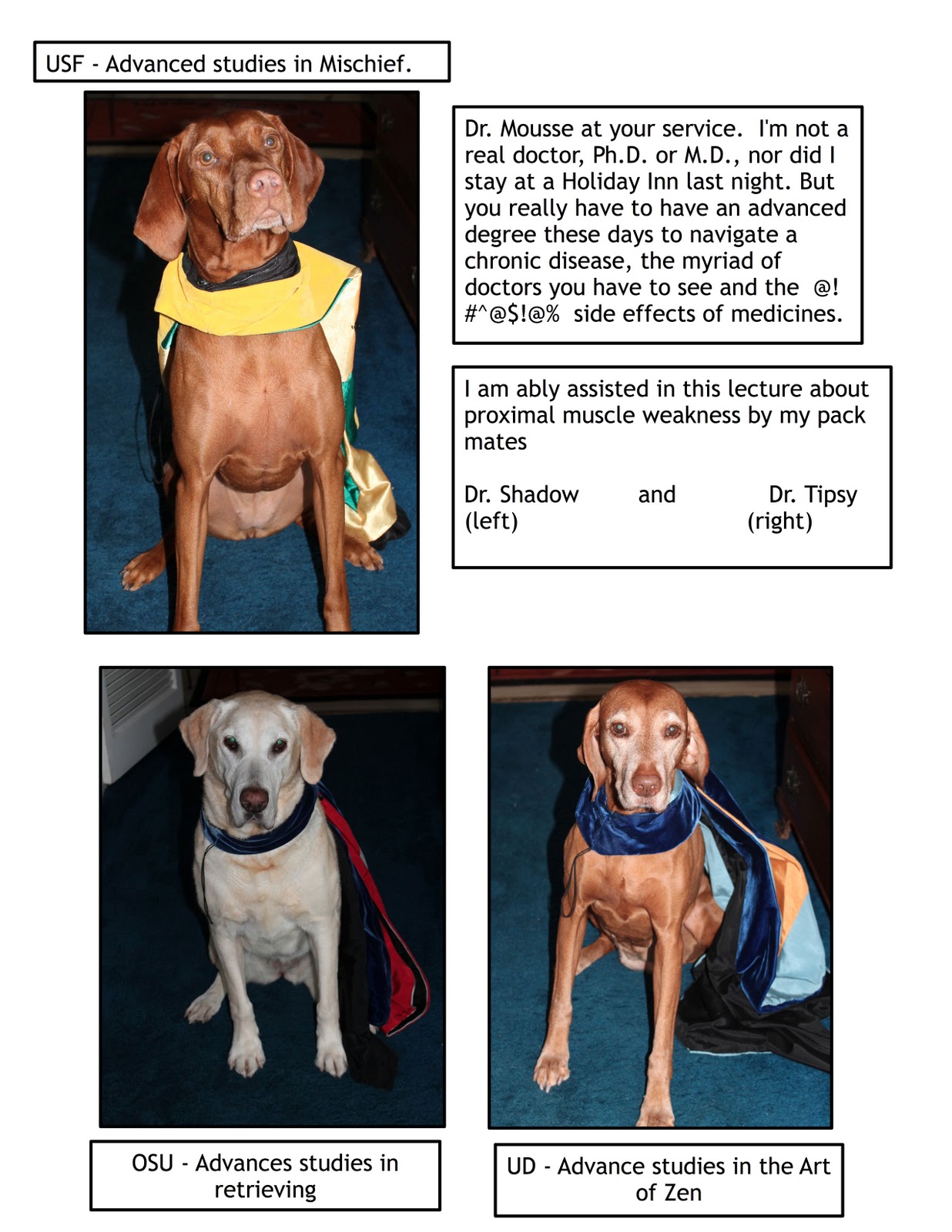 Mousse's Blog: Proximal Muscle Weakness