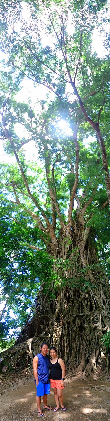 Baler, Aurora attractions - Balete Park & Millenium Tree