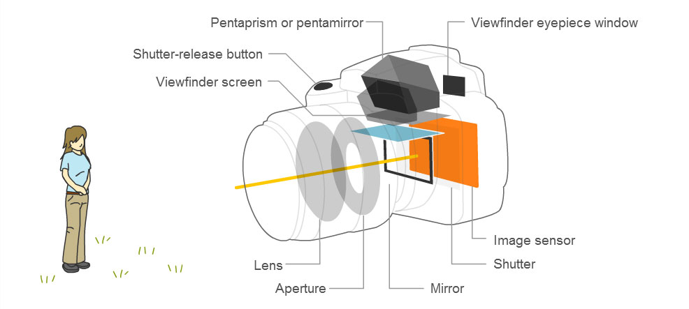 Guide to Digital SLR: DSLR Camera Setup