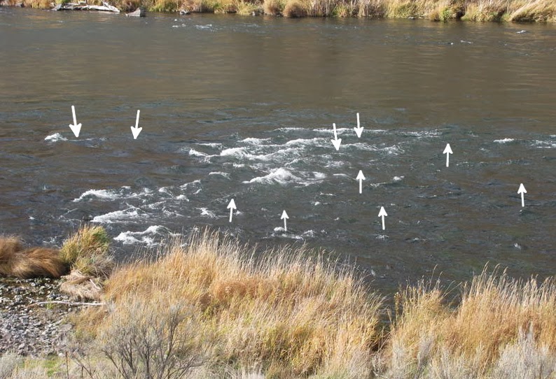 Fly Fishing with Doug Stewart: How to Fly Fish Pocket Water