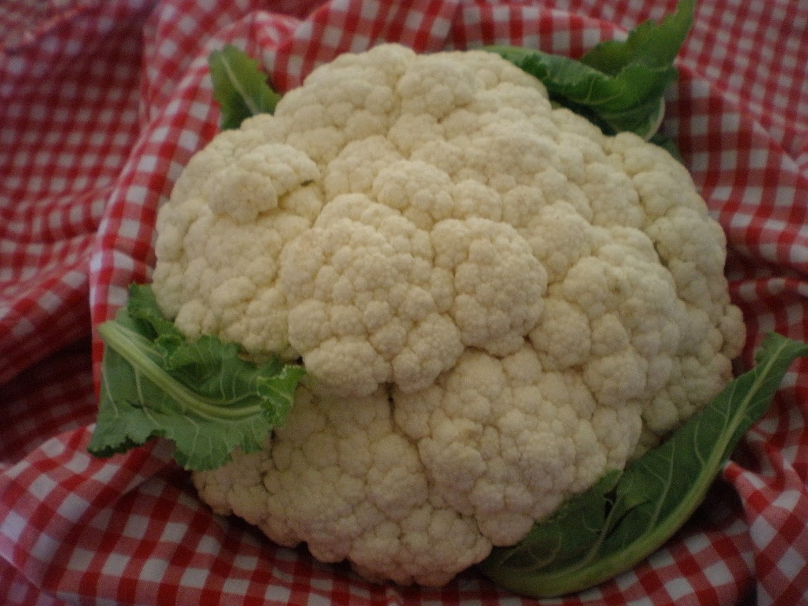 The InTolerant Chef ™: Cauli-Flour Pizza Crust