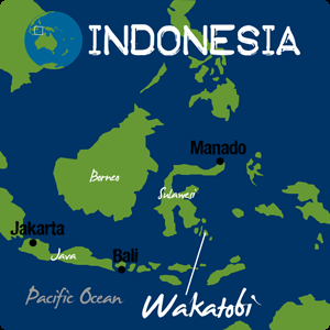 Wakatobi : The Real Underwater Heaven in Sulawesi ~ Explore The Beauty ...