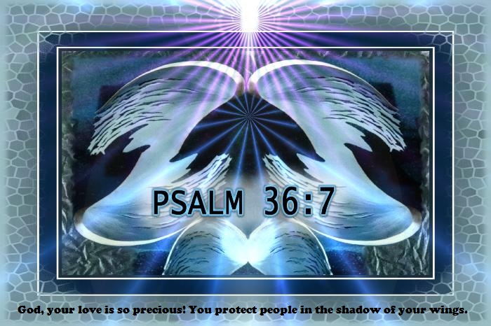 A Light In The Darkness Psalm 36 7 a-light-in-the-darkness-psalm-36-7