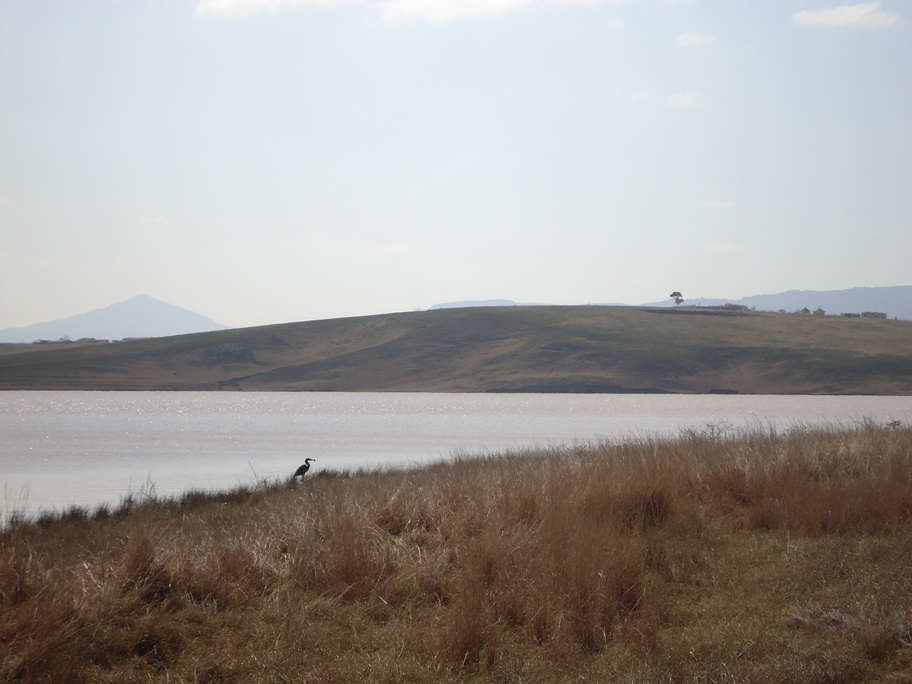 Mthatha, Ahoy!: A Little TLC