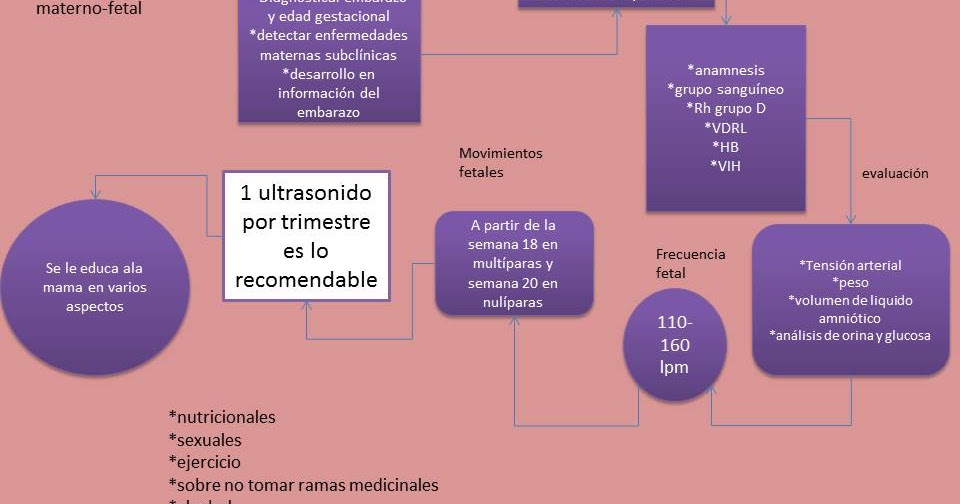 Ginecologia2016: mapa conceptual atención prenatal