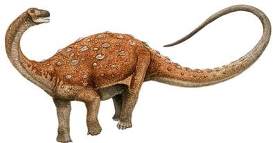 Blog de la Vida Prehistórica: Neuquensaurus