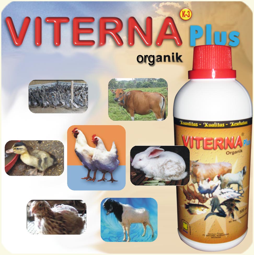 Viterna Plus - Nasa-24