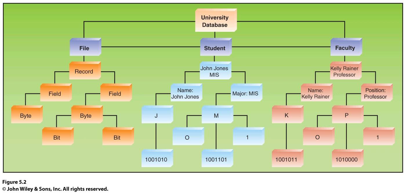 Hirarki Data | Bedah Sistem Informasi