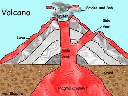 Wild Adventures: The Amazing Rock Cycle