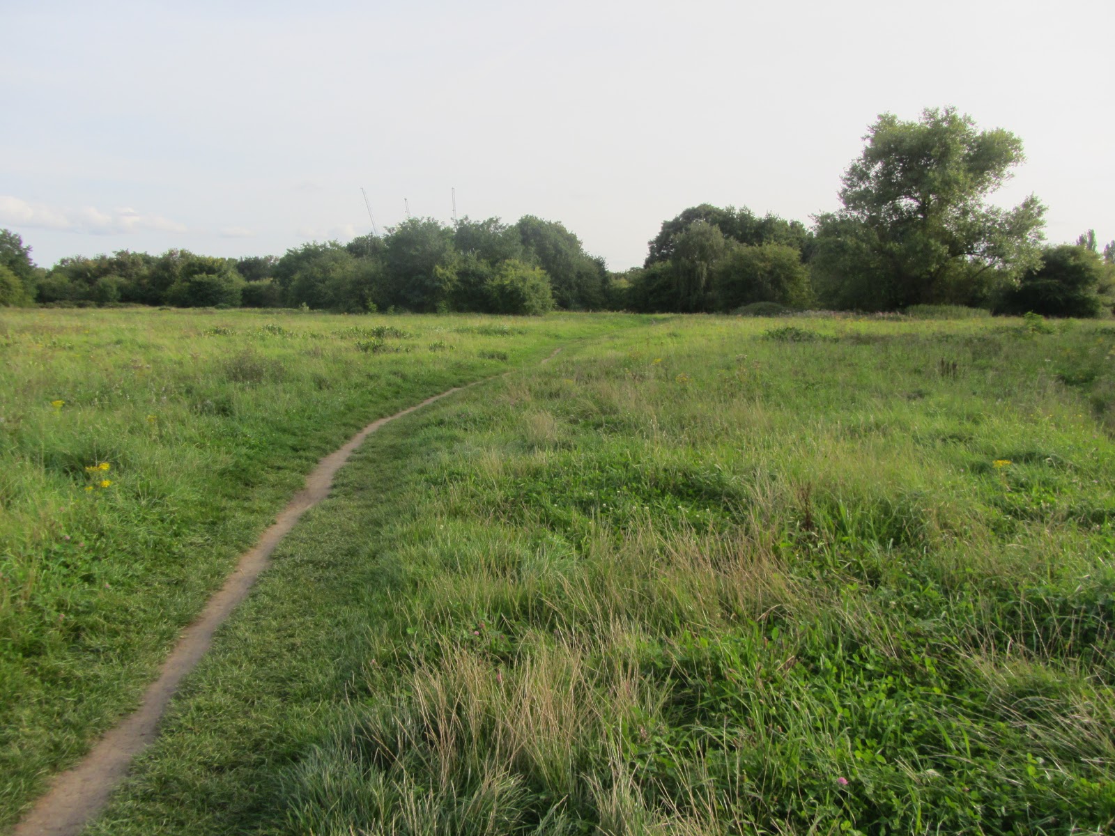 Ham Photos: Crossing Ham Lands