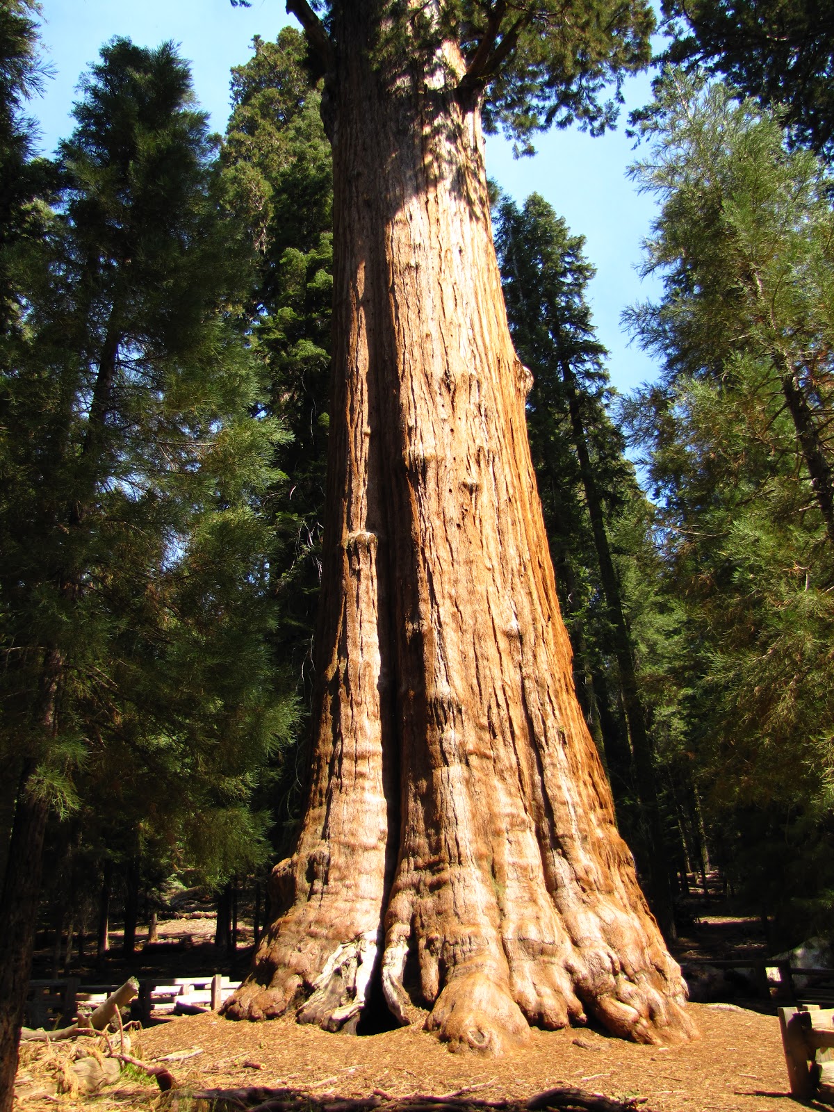 To Behold the Beauty: 2011