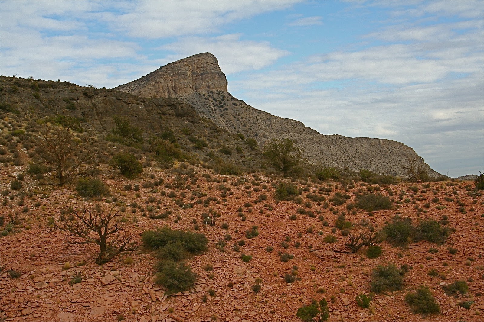 Wildfilm: Keystone Thrust Fault