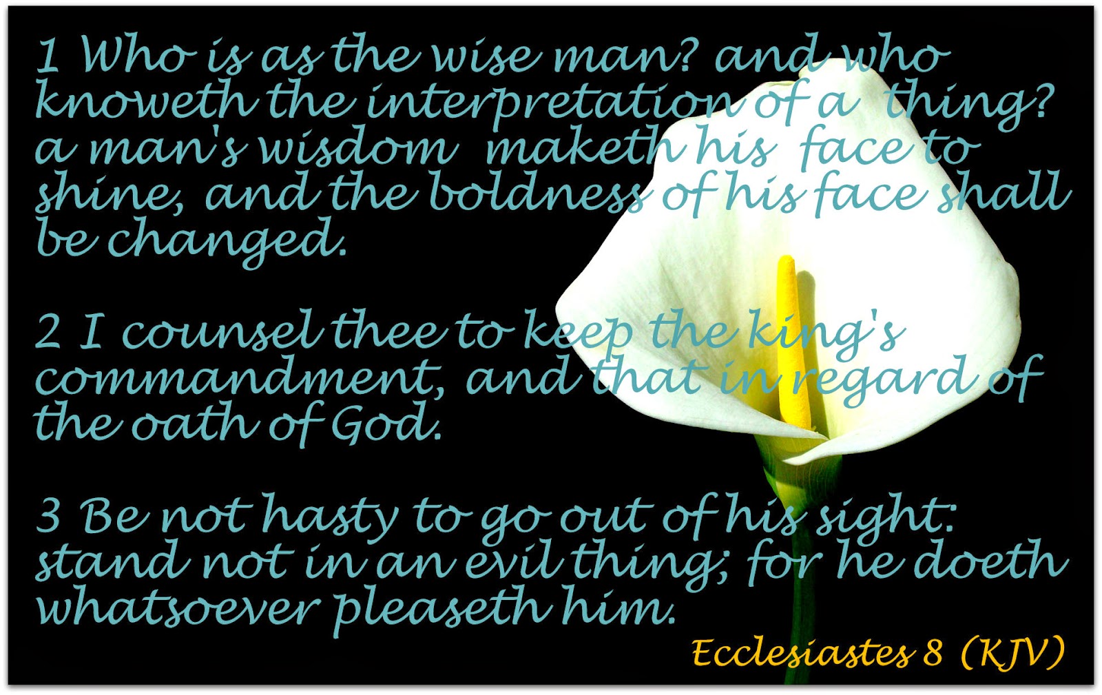 Red Pill Diaries: Ecclesiastes 8 (KJV)