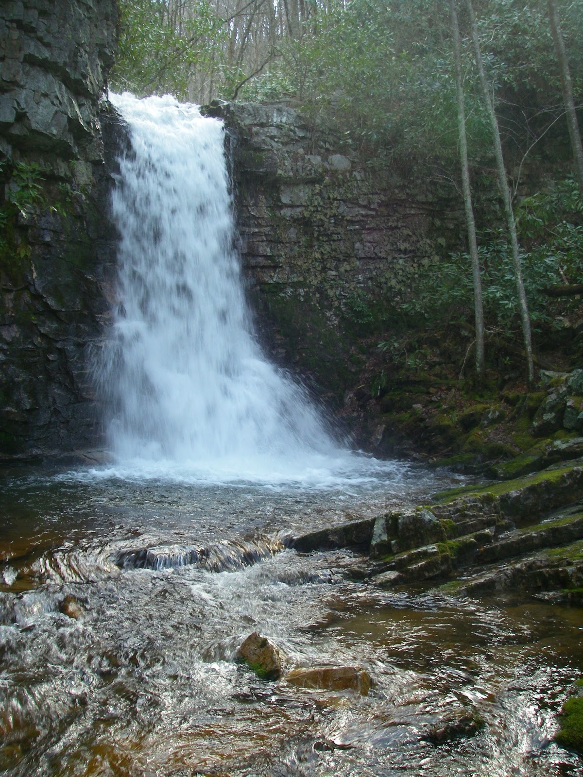 Peaks & Paths: Gentry Falls, Rogers Ridge, and Glenn Bald