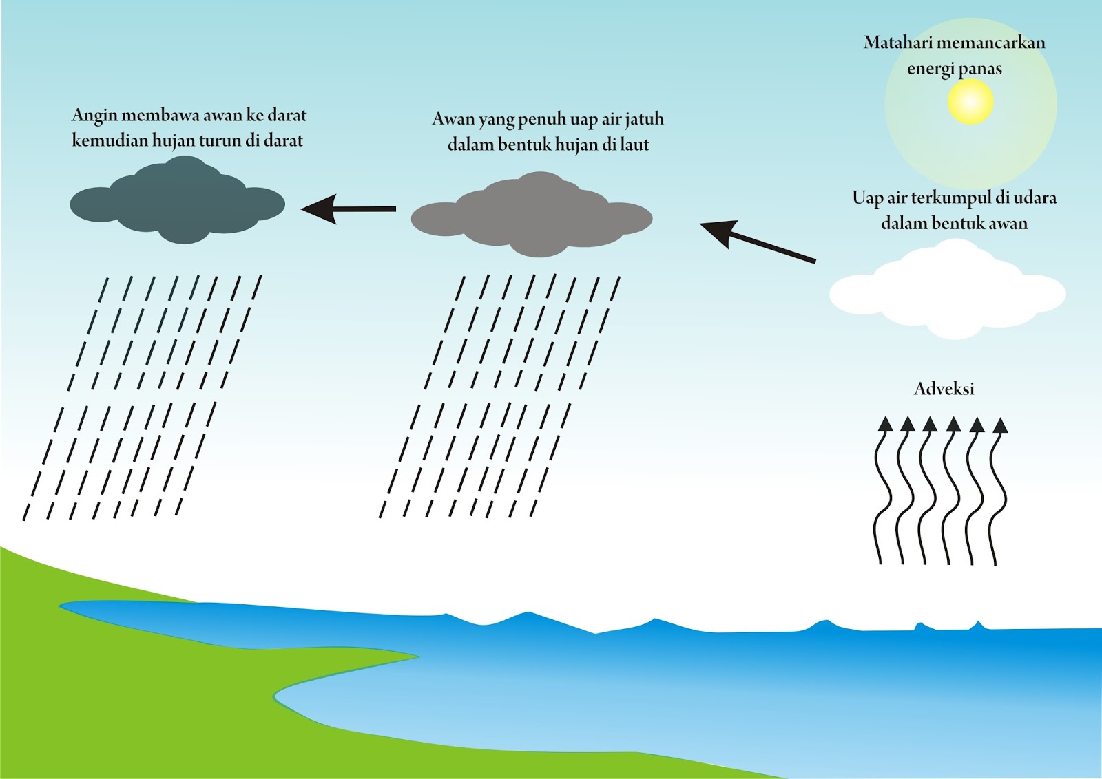 Geography Is Easy : Throughfall, Stemflow, Transpirasi, dan Proses ...