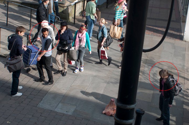 Harry Scott Photography: The Commission