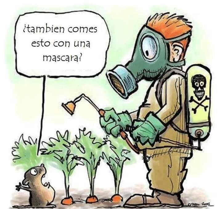 MUNDO CRETINO: HUMOR VERDE