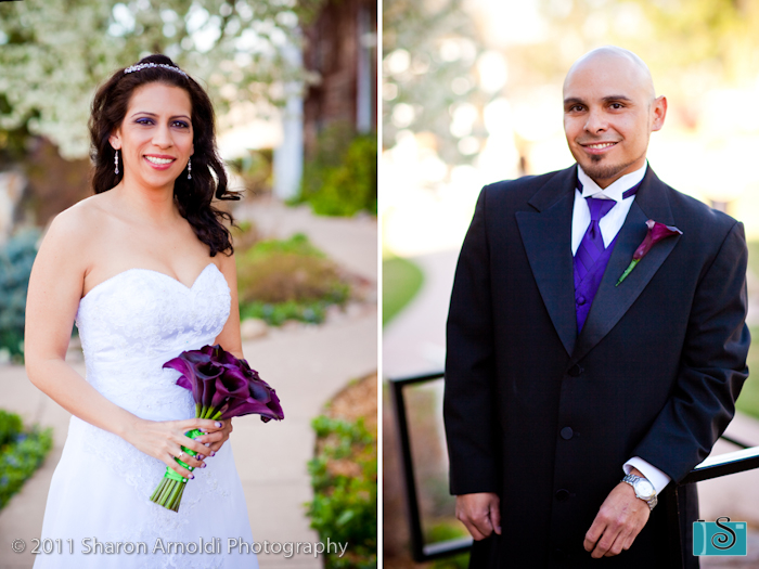 OLD BLOG, NEW BLOG HERE: http://www.sharonarnoldi.com/blog : Spring ...