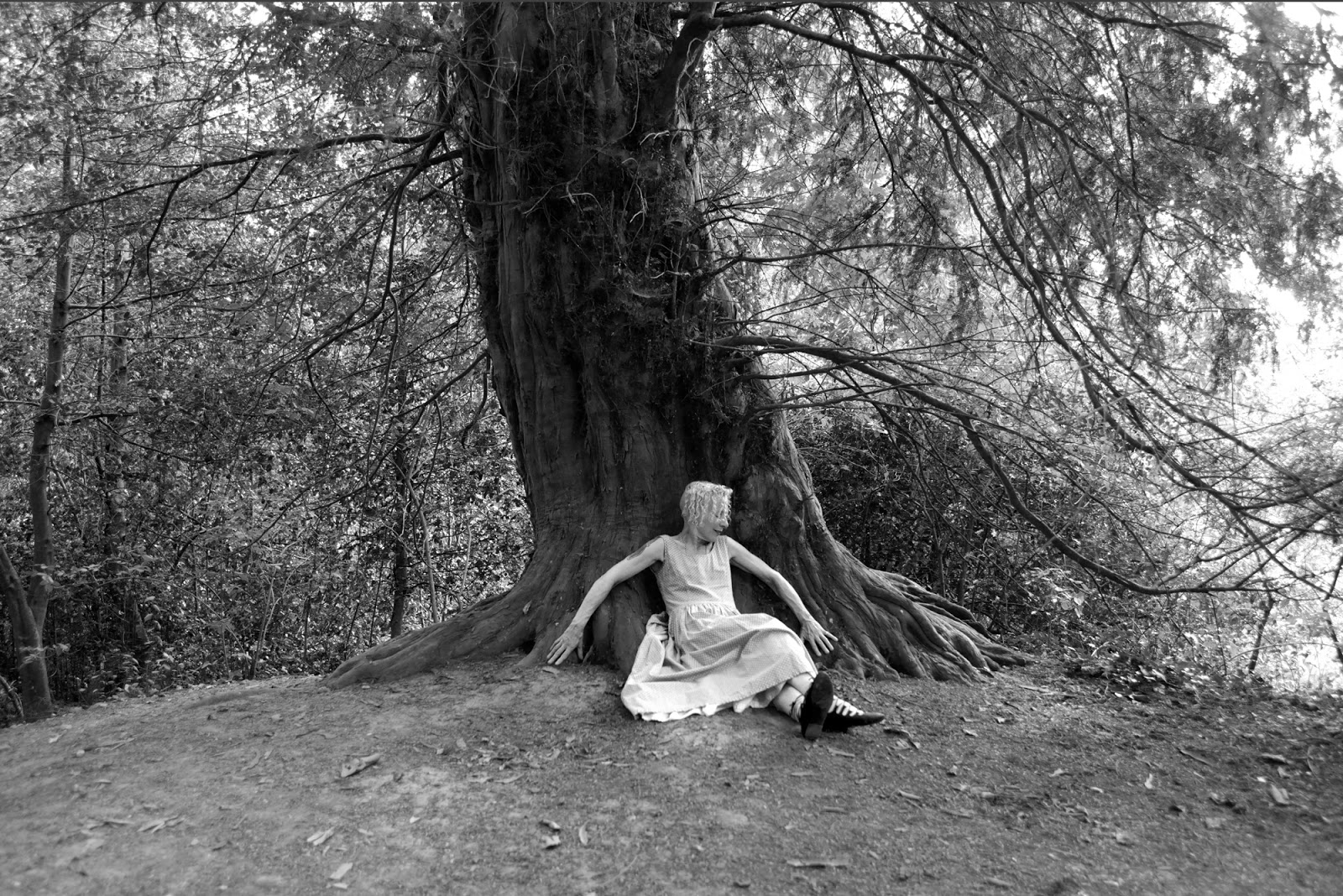 GAYNOR PERRY: Jane Perry Woodgate – An Ode to 60 Years