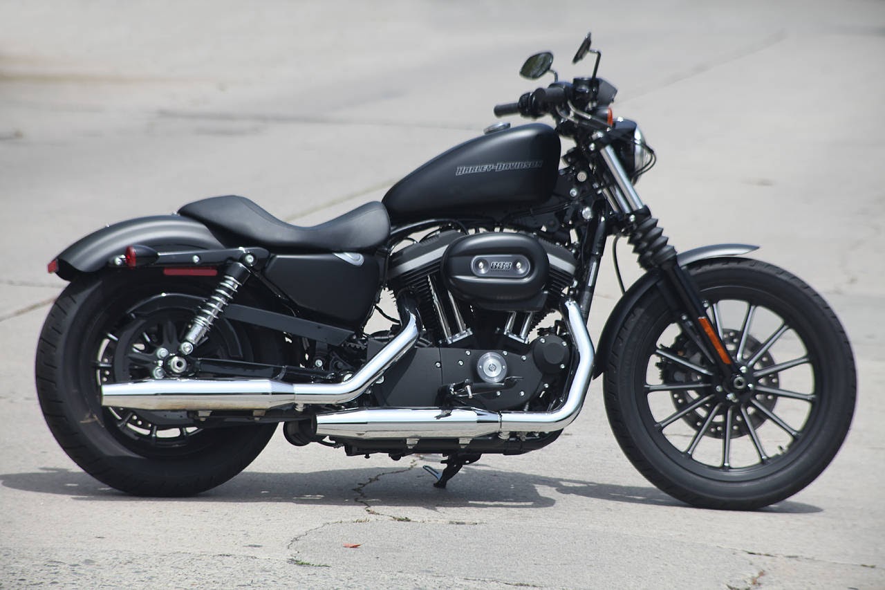 All Bikes Information: HARLEY DAVIDSON IRON 883